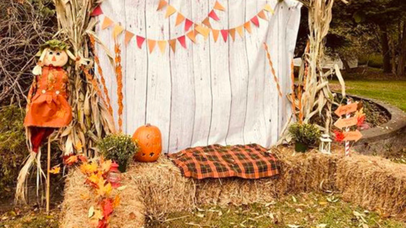 Fall Festival - The Aurora Highlands