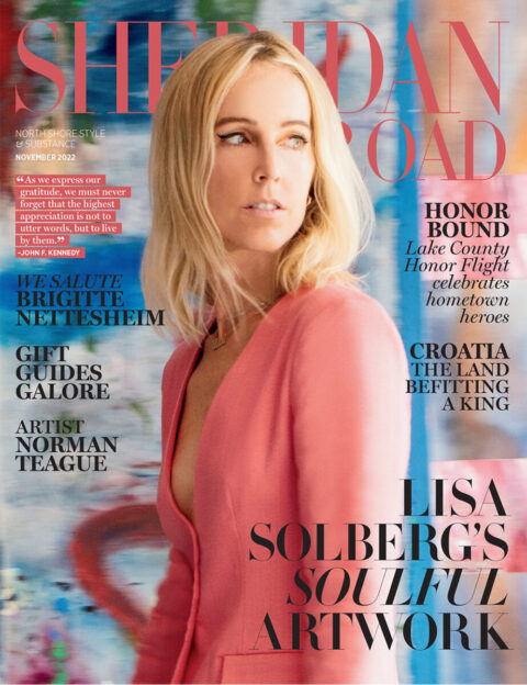 Lisa Solberg's Soulful Artwork - The Aurora Highlands