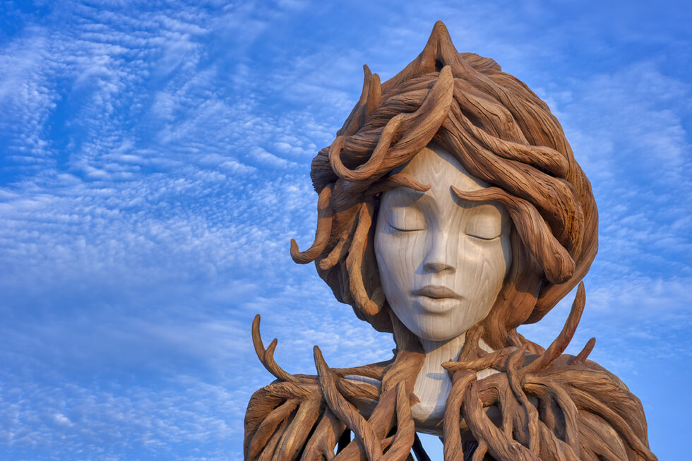 Art in the Park - The Aurora Highlands